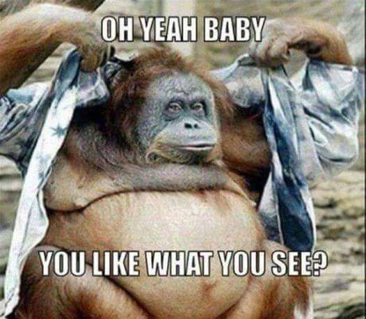 Monkey see… monkey like!! | Deep Fried Bits