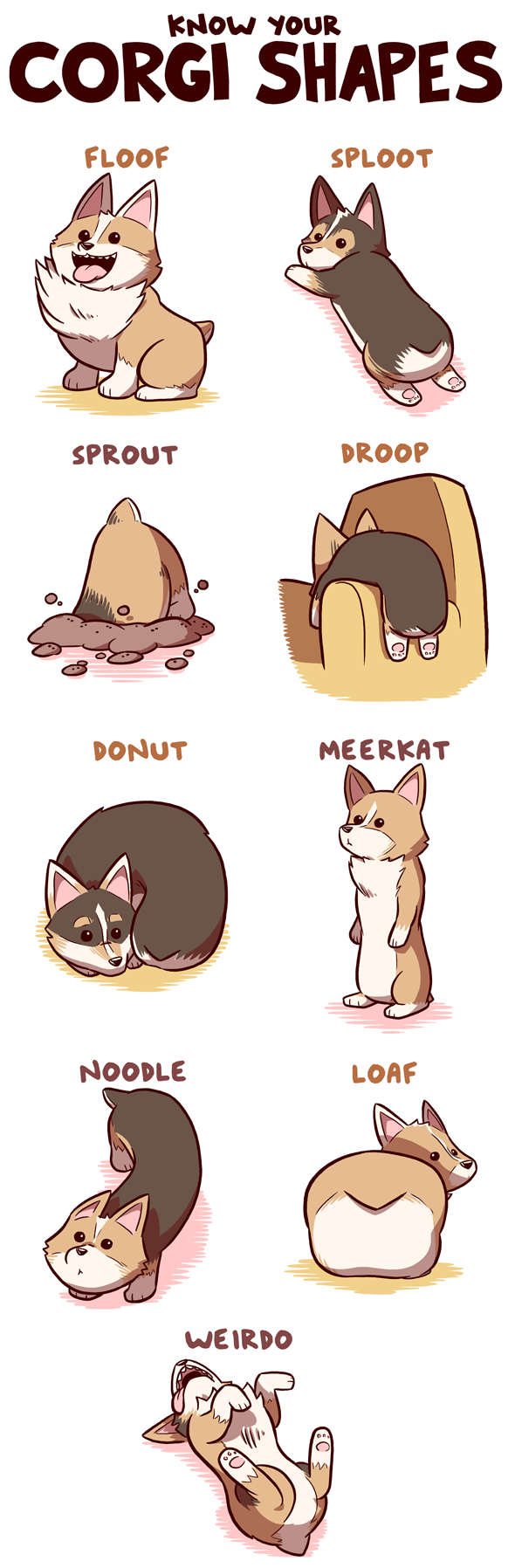 Know Your Corgi Shapes | Deep Fried Bits