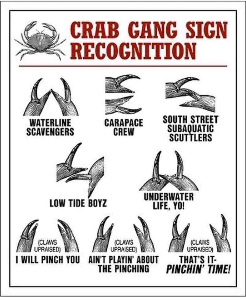 Crab Gang Signs | Deep Fried Bits